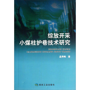 综放开采小煤柱护巷技术研究