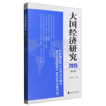 大国经济研究2015（第七辑）