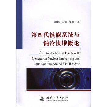 第四代核能系统与钠冷快堆概论