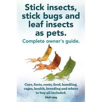 Stick Insects, Stick Bugs and Leaf Insects a...