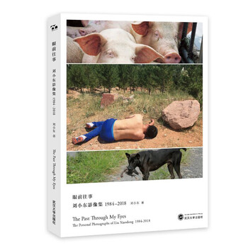 眼前往事：刘小东影像集1984—2018 软精装
