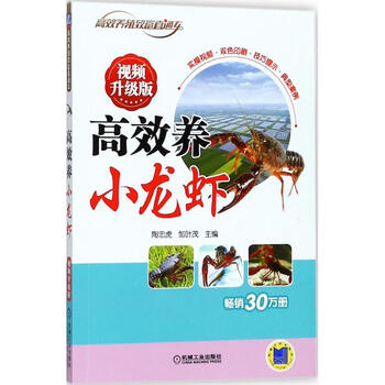 高效养小龙虾(视频升级版)