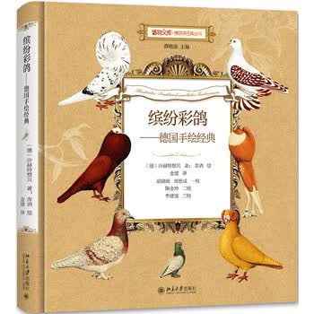 [正版图书]缤纷彩鸽 德国手绘经典