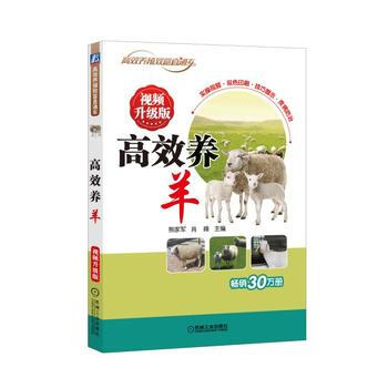养羊(视频升级版)