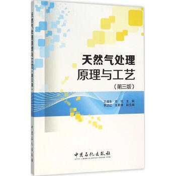 天然气处理原理与工艺(第3版)