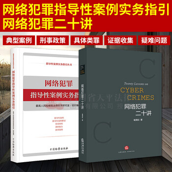 网络犯罪指导性案例实务指引+网络犯罪二十讲 