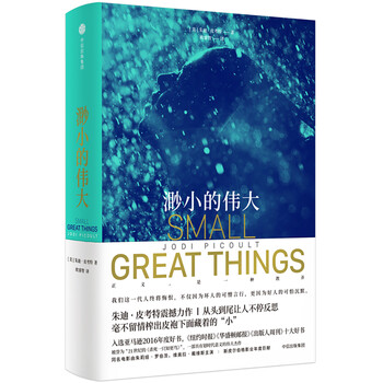 渺小的伟大 中信出版社