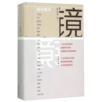 镜内镜外