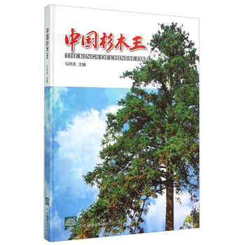 中国杉木王