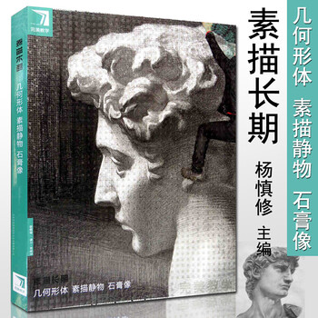 2019 完美教学素描长期 几何形体 素描静物 石膏像 临摹基础入门教材联高艺考美术绘画书
