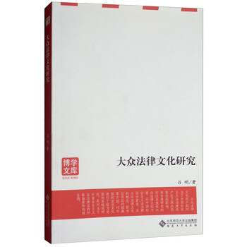 大众法律文化研究【】9787566415387