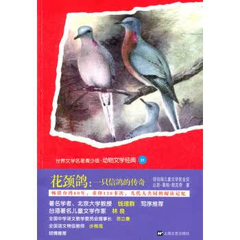 花颈鸽：一只信鸽的传奇