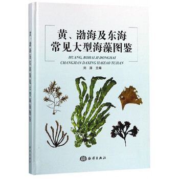 黄渤海及东海常见大型海藻图鉴(精)