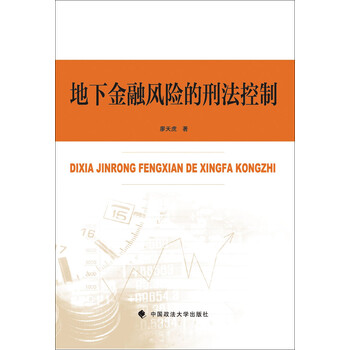 地下金融风险的刑法控制