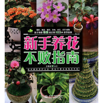 新手养花不败指南