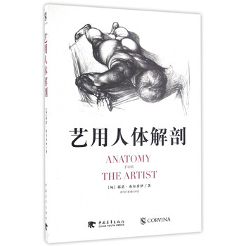 艺用人体解剖