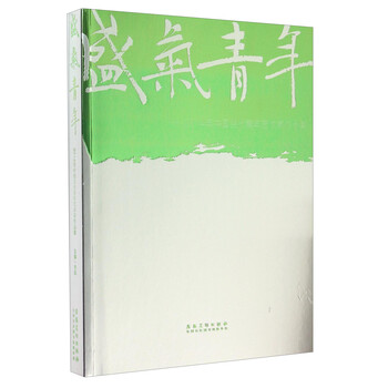 盛气青年：2014年中国当代青年艺术家作品集