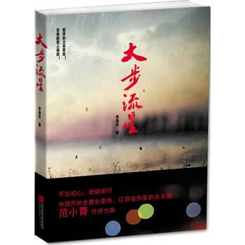 大步流星 小说 书籍