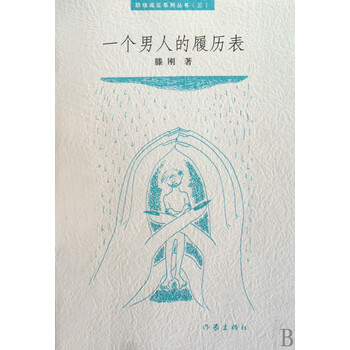一个男人的履历表/职场减压系列丛书