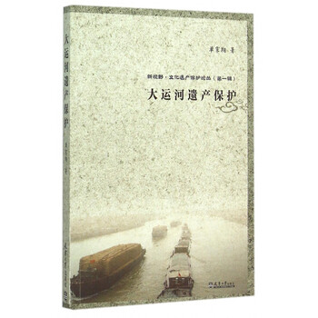 大运河遗产保护/新视野文化遗产保护论丛