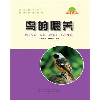 鸟的喂养9787537582933