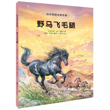 野马飞毛腿