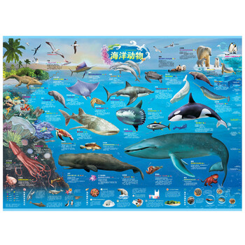 海洋动物，儿童房地图大百科海底世界大探秘，动物世界儿童鲸鱼世界，海沟介绍，约1.1*0.8米，认知探