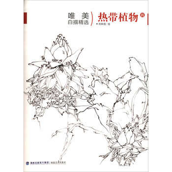 热带植物（4）/唯美白描精选
