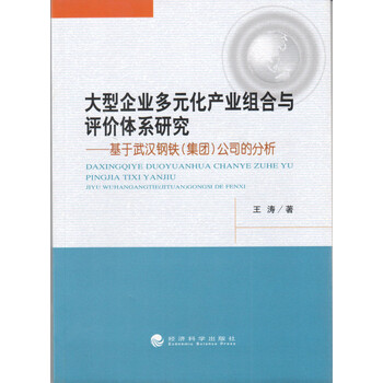 大型企业多元化产业组合与评价体系研究