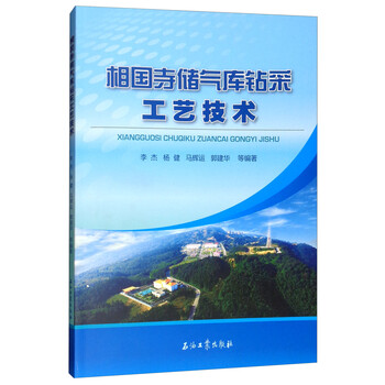 相国寺储气库钻采工艺技术