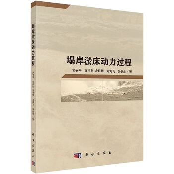 塌岸淤床动力过程