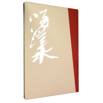 汤漾花卉册