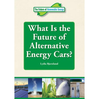 【】What Is the Future of Alternative Energy