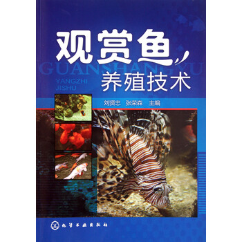 观赏鱼养殖技术