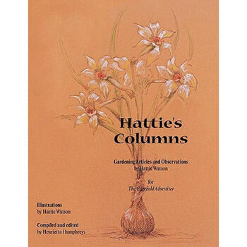 Hattie's Columns