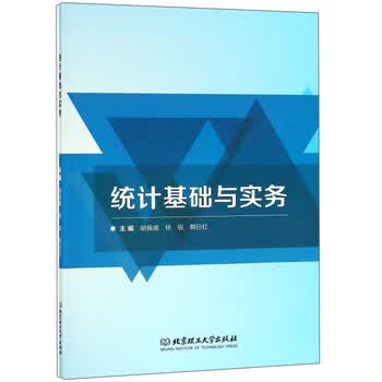 正版 统计基础与实务 9787568261272