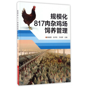 规模化817肉杂鸡场饲养管理
