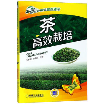 茶高效栽培