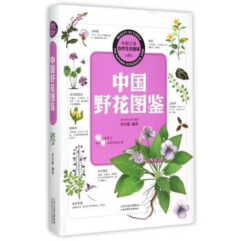 中国野花图鉴/中国之美自然生态图鉴