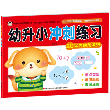 幼升小冲刺练习 20以内的加减法