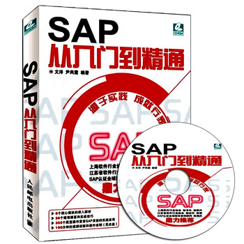 【sap教程】SAP从入门到精通文洋尹风霞 SAP实施大全 sap实施 sap书籍sap基础应用教程
