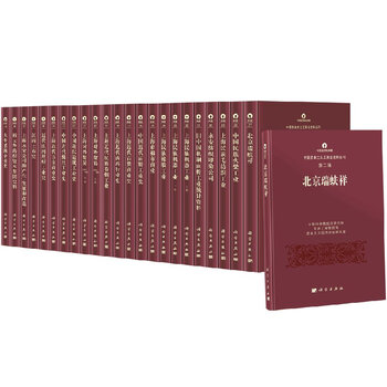 中国资本主义工商业史料丛刊/吴承明