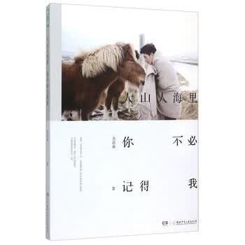 人山人海里 你不必记得我
