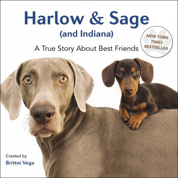 Harlow & Sage (and Indiana)  A True Story About
