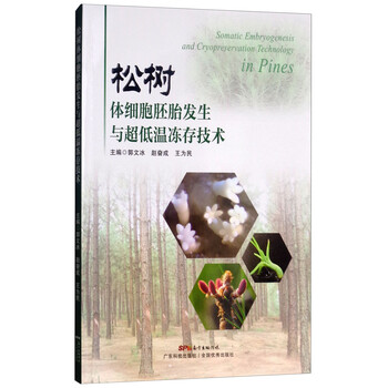 松树体细胞胚胎发生与超低温冻存技术