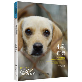 小*布鲁 (美)凯文 9787564085889 北京理工大学出版社