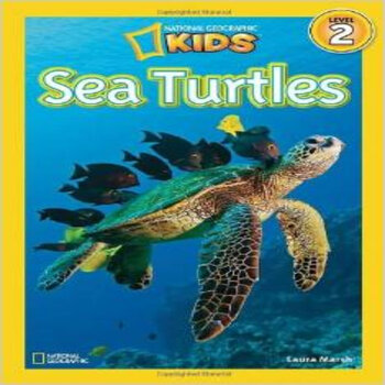 National Geographic Readers: Sea Turtles