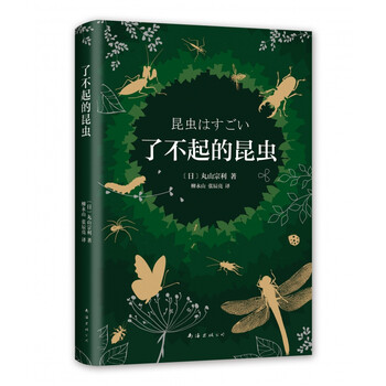 了不起的昆虫(精)