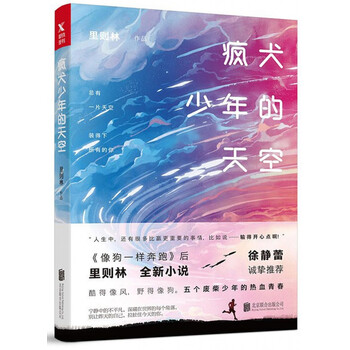疯犬少年的天空