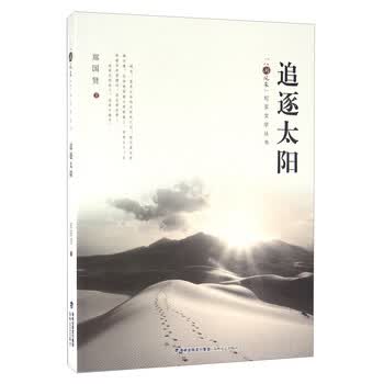 追逐太阳